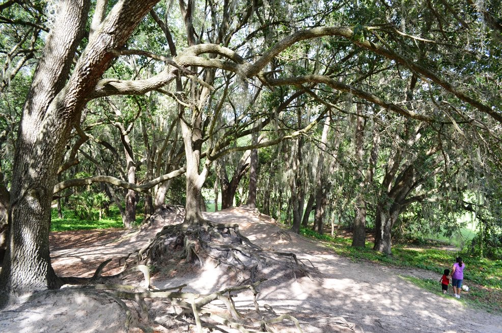 Things To Do In Plant City – Plant City Homes for Sale